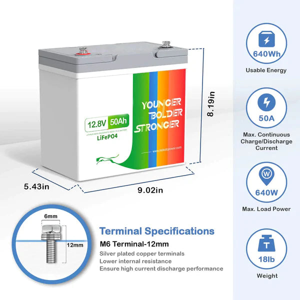 Who Makes LFP Batteries? – leaptrend